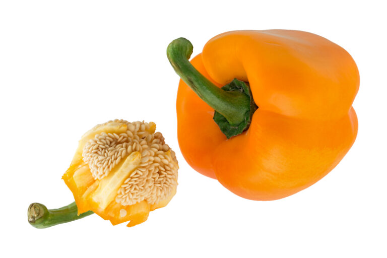 Are Bell Pepper Seeds Poisonous to Chickens? | ChickenLaws.com